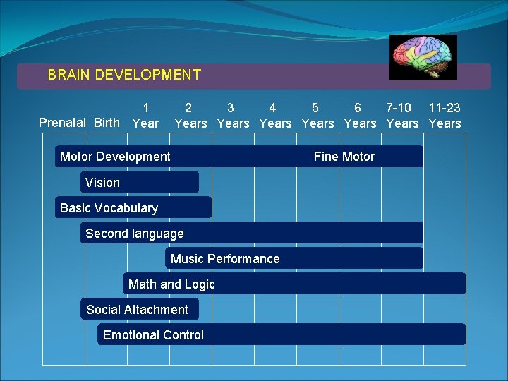 Advanced Nutrition N3 Fatty Acids Visual Brain Functions