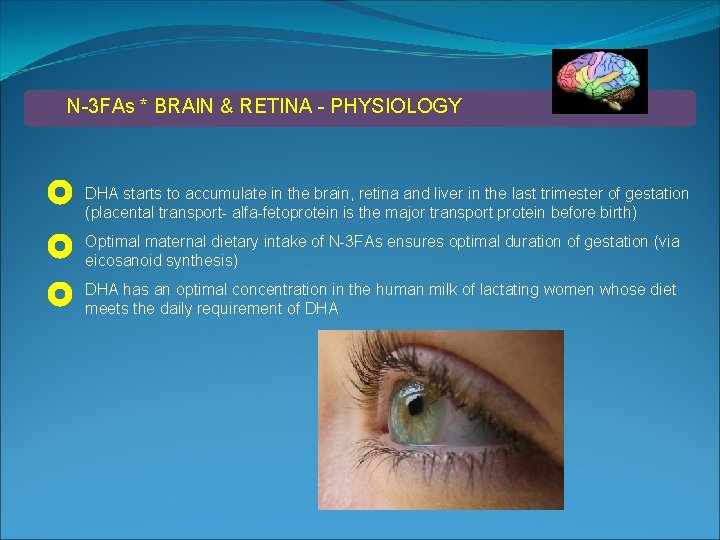 Advanced Nutrition N3 Fatty Acids Visual Brain Functions