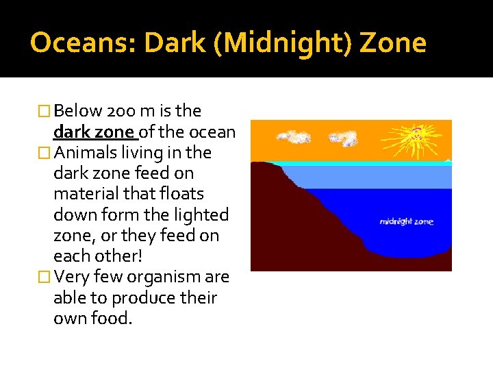 Saltwater Ecosystems Aquatic Ecosystems Marisa Boan Saltwater Ecosystems