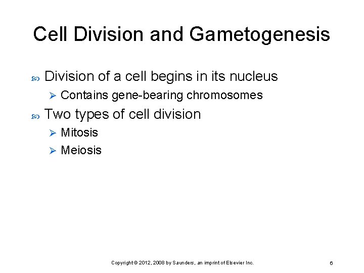 Chapter 3 Fetal Development Copyright 2012 2008 by