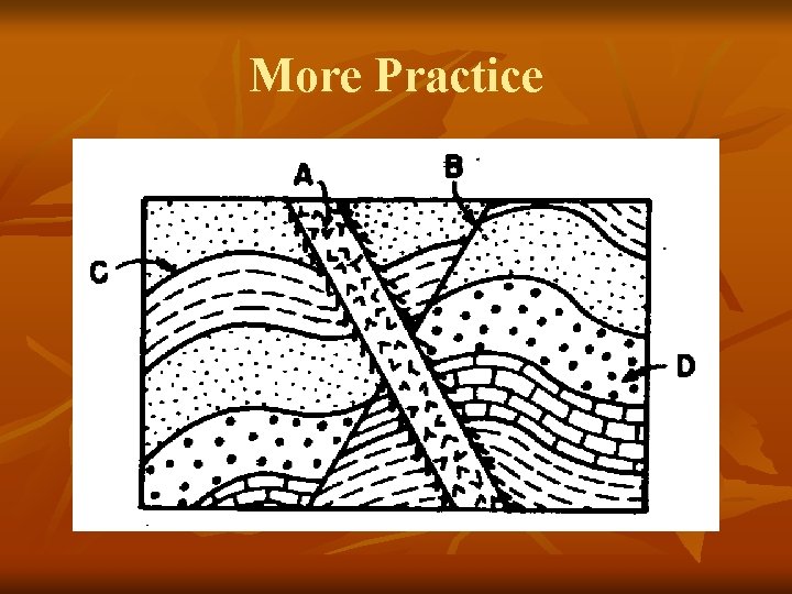 Clues to the Earths Past What are fossils