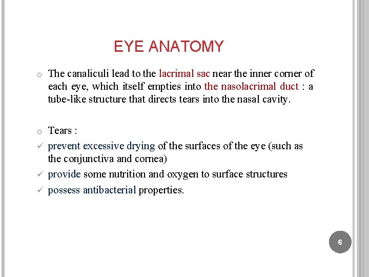 LAB 10 HUMAN EYE ANATOMY Biology Department 2