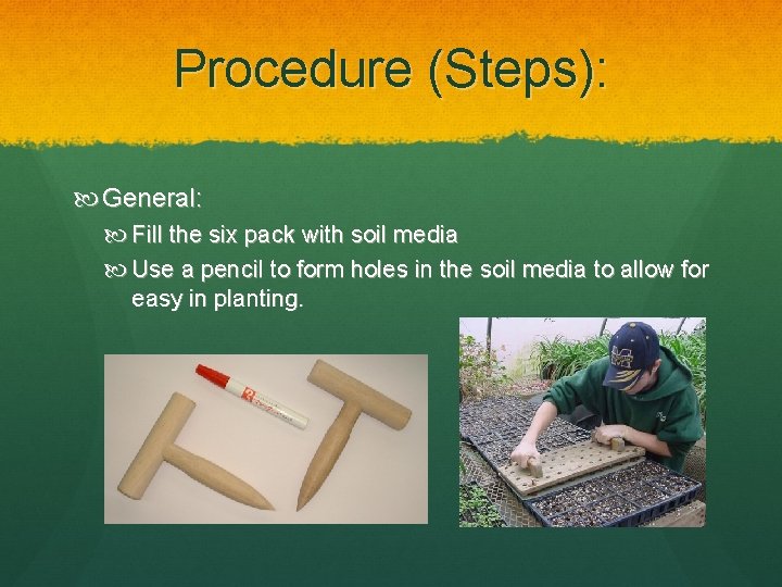 Plant Propagation Lab Asexual and Sexual Reproduction Purpose