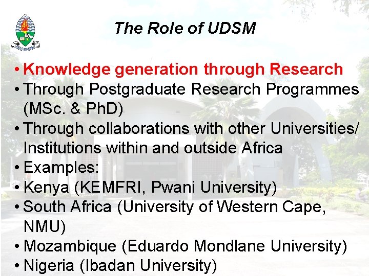 About UDSM University of Dar es Salaams role