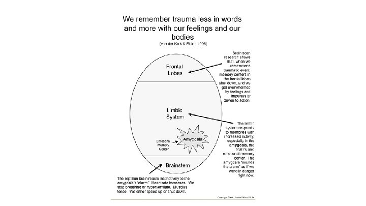What is trauma and why it matters Joy