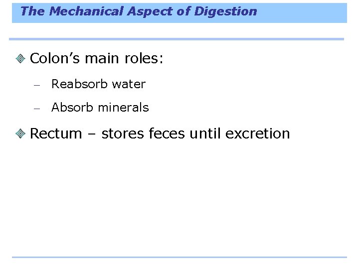 Chapter 3 The Remarkable Body Power Point Lectures
