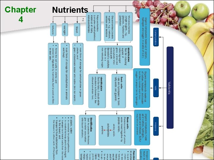 CHAPTER 4 Nutrients Chapter 4 Nutrients 4 1