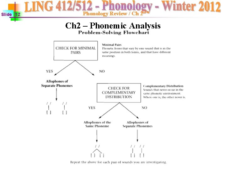 Slide 1 Phonology Review Ch 2 Step 1