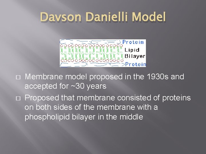 CELL MEMBRANES The Gatekeepers of our cells Key