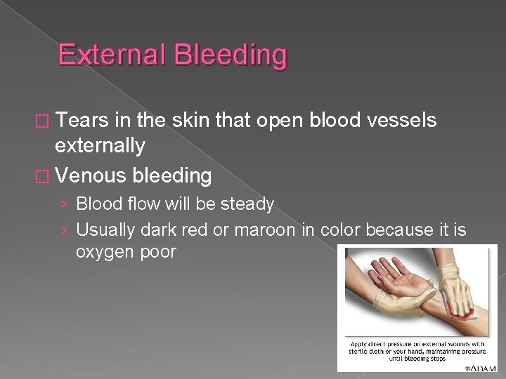 Bleeding Chapter 8 What is Blood Specialized body