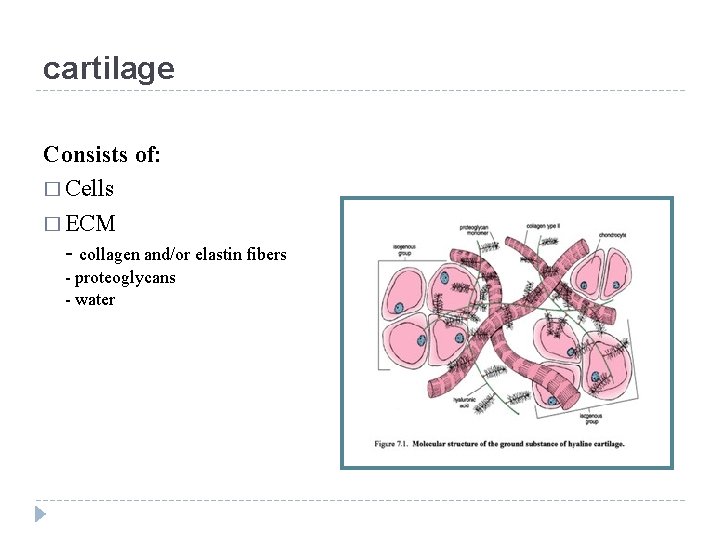 Session 3 Dr Maria Zahiri Lecture outline Overview