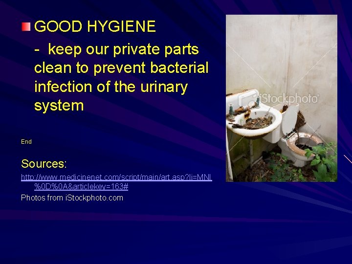 Study the picture of the urinary system below