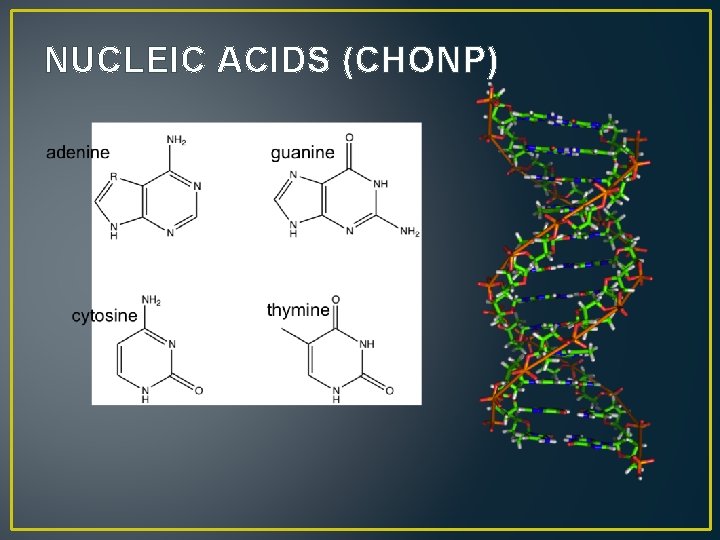 Important Organic Compounds Water is 11 hydrogen by