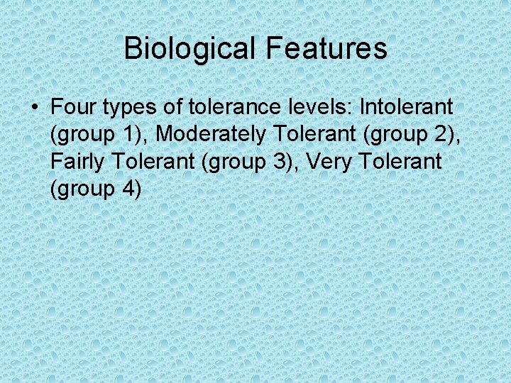 West Branch of the Du Page River Portfolio