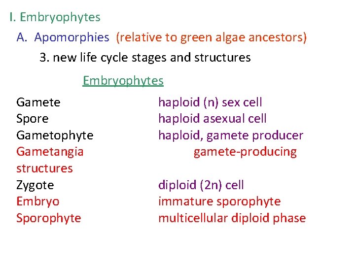 Embryophytes land plants fern moss gymnosperm angiosperm I