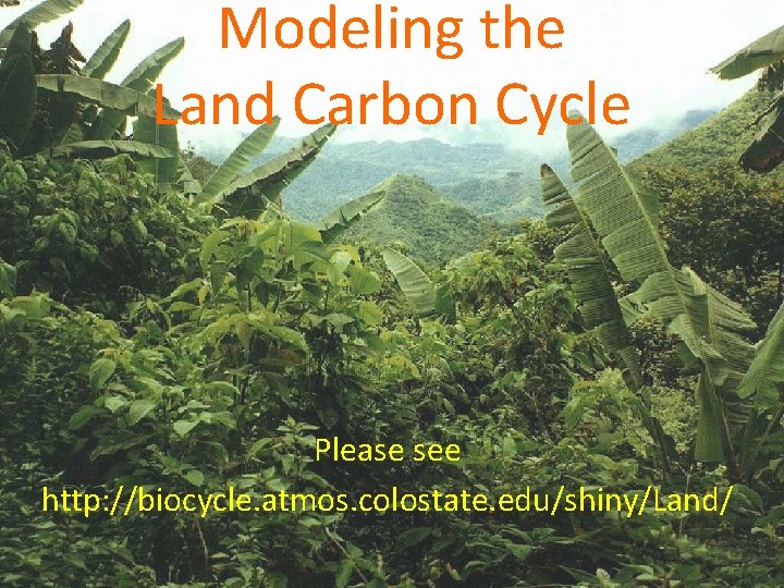 Modeling the Land Carbon Cycle Please see http
