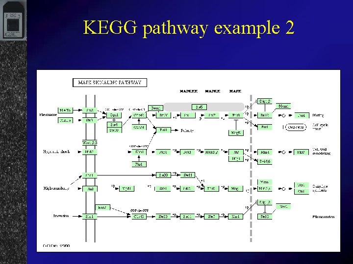 Analysis of GO annotation at cluster level by