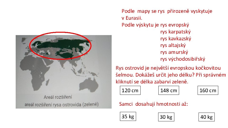 elmy kokovit obrzek 1 Na kterm obrzku je