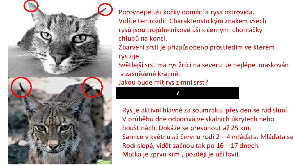 elmy kokovit obrzek 1 Na kterm obrzku je