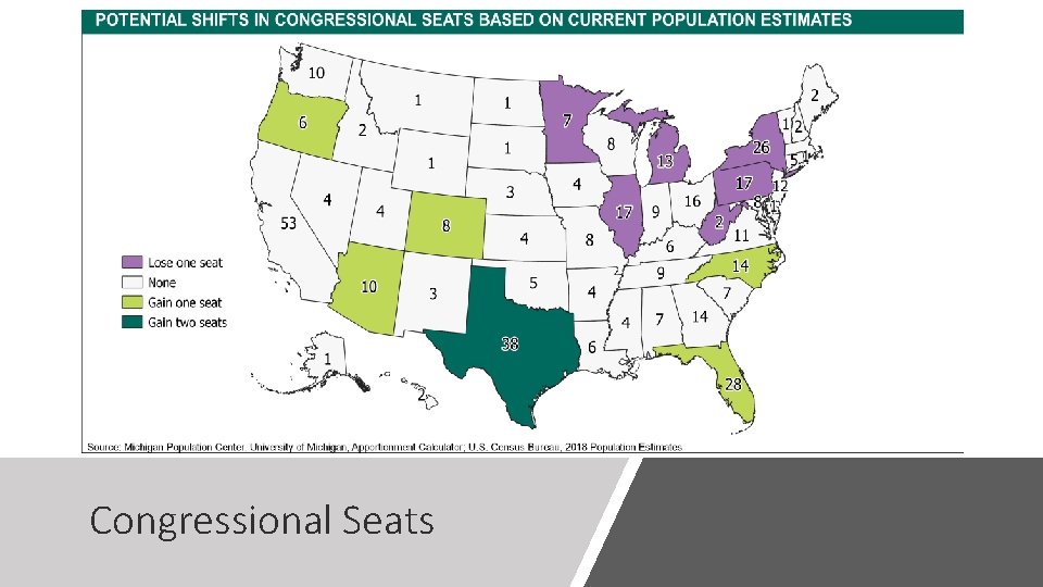 Everything you need to know about the 2020