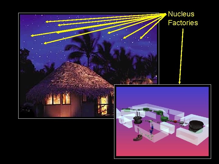 stable Elements in nature 75 in mass after