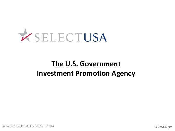 The U S Government Investment Promotion Agency International