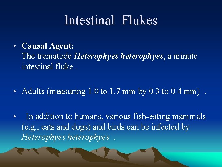 Intestinal Flukes Causal Agent The trematode Heterophyes heterophyes