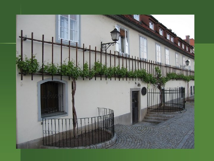 Maribor region Maribors flag Maribor is the second