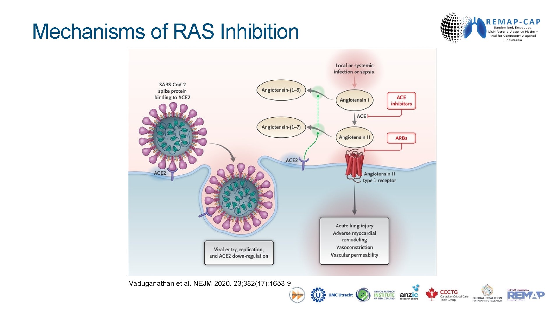 ACE 2 ReninAngiotensin System RAS Modulation Domain Patrick