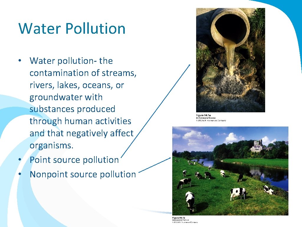 Chapter 14 Water Pollution The Chesapeake Bay Chesapeake