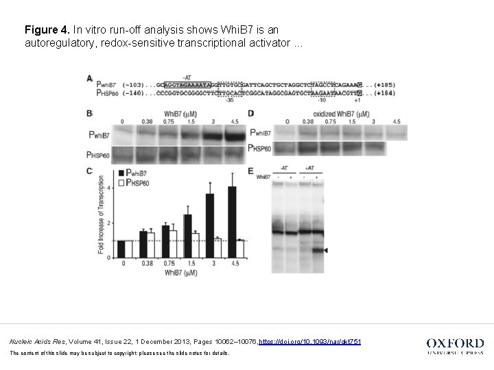 Figure 1 Conservation of Whi B 7 sequence