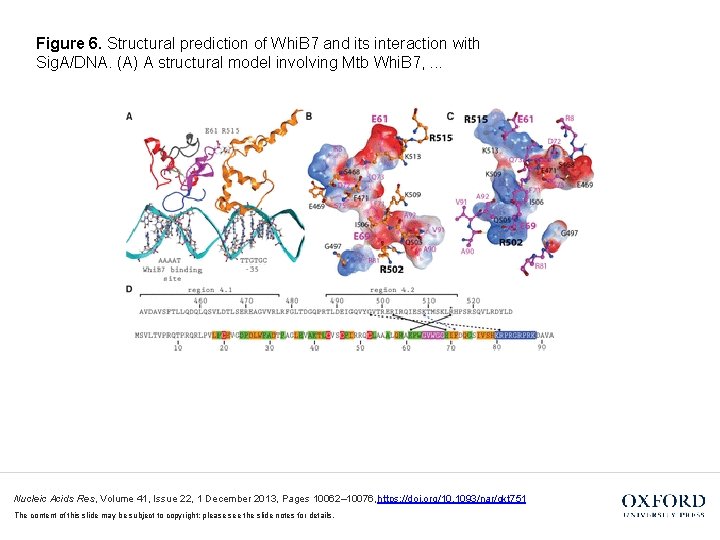 Figure 1 Conservation of Whi B 7 sequence