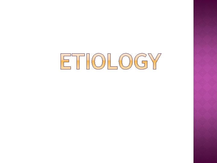 Mohd Shafiq Bin Paridin Mohd Firdaus Bin Jamalullail