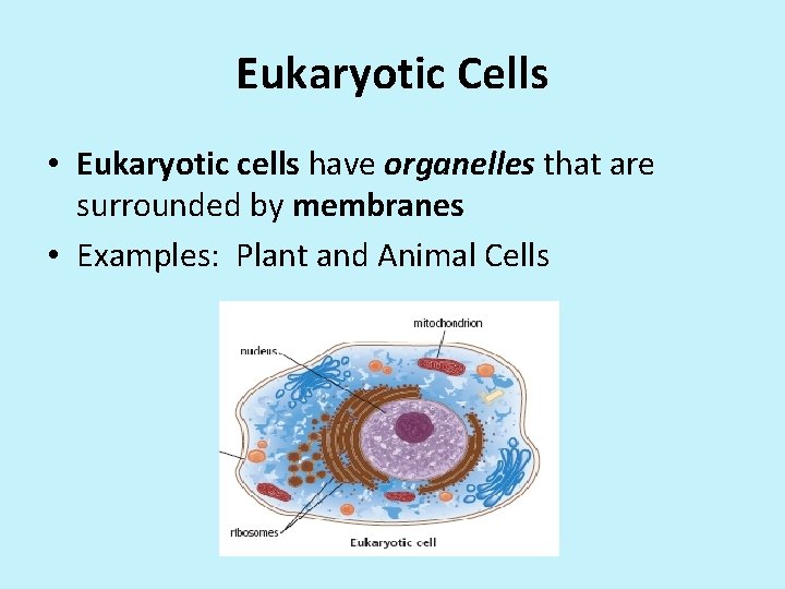 Unit 1 Cells and Systems I Cell Theory