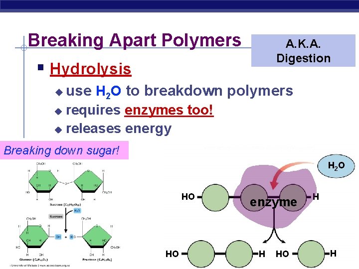 Biochemistry Unit Macromolecules Chapters 4 and 5 AP