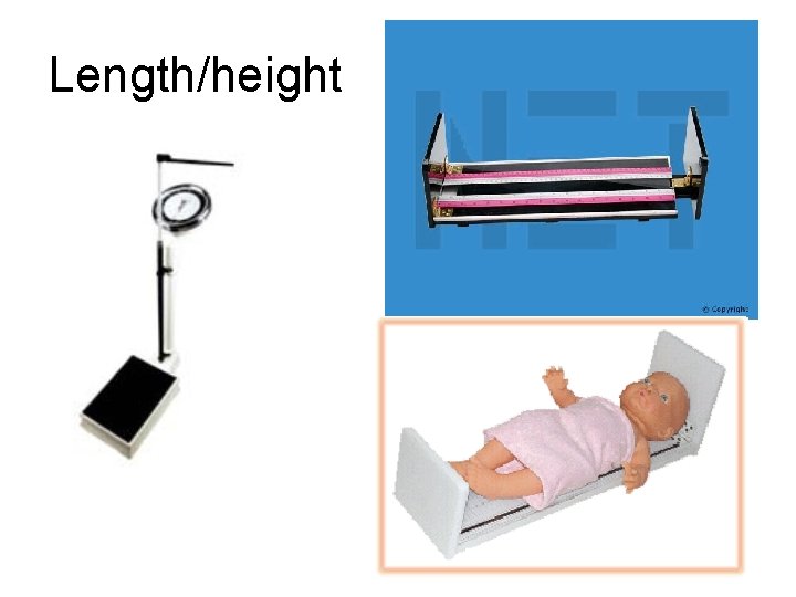 GROWTH AND DEVELOPMENT Students should be able to