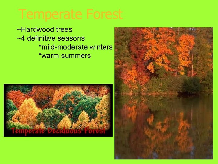 Biomes Lecture What is a biome A major