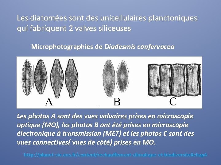 la biodiversit et le changement climatique En France