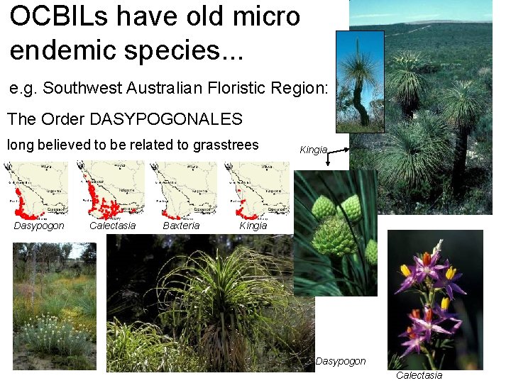 Is terrestrial biodiversity doomed by climate change Professor
