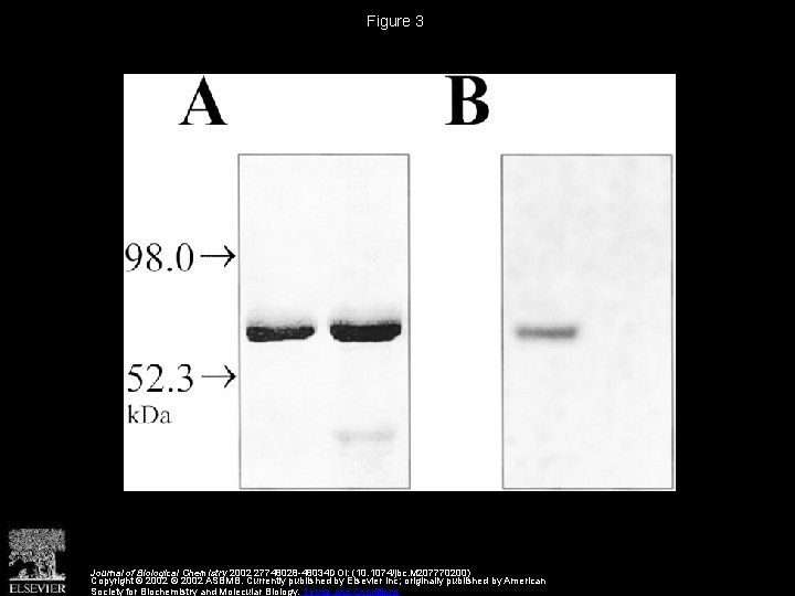 Biochemical Evidence for an Editing Role of Thioesterase