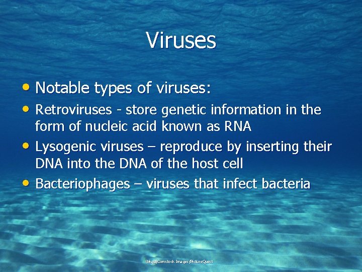 Parts of Chapter 6 and 7 MicroMarine Life