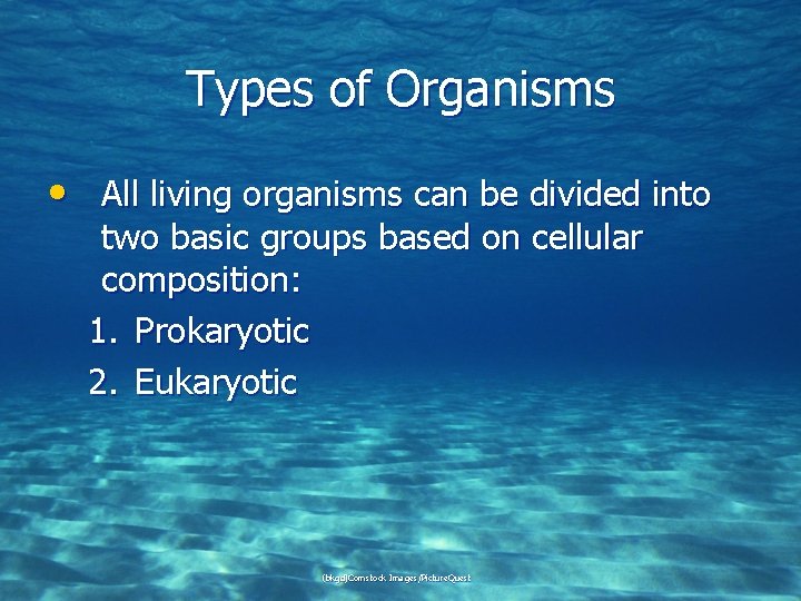 Parts of Chapter 6 and 7 MicroMarine Life