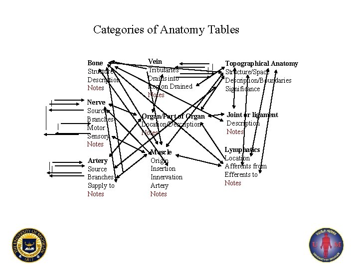 Optimizing Database Efficiency Or Finding The Happy Medium