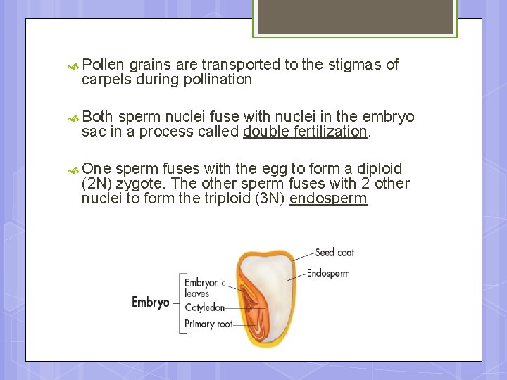 Reproduction in Flowering Plants 24 1 The Structure