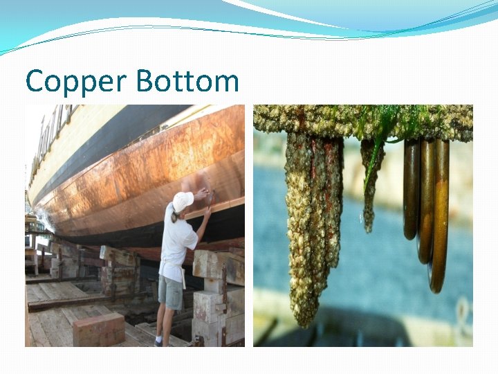 Copper Bottom Paints A Rational Approach for Marina