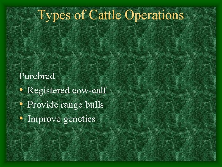 BEEF Cattle Bovine Production Food Safety StructureCuts Nutrition