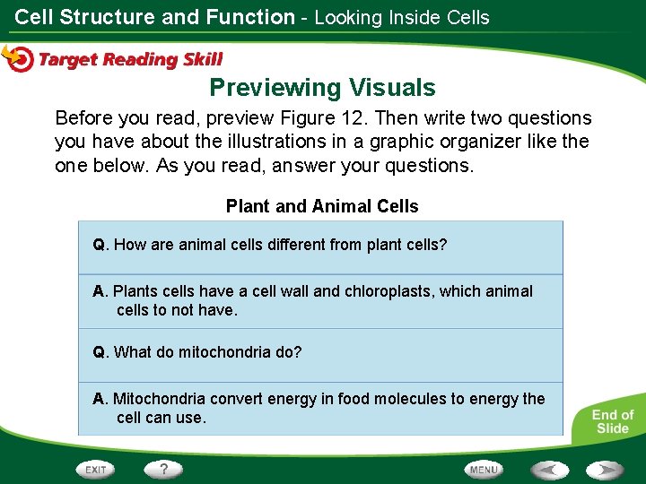 Cell Structure and Function Table of Contents Discovering