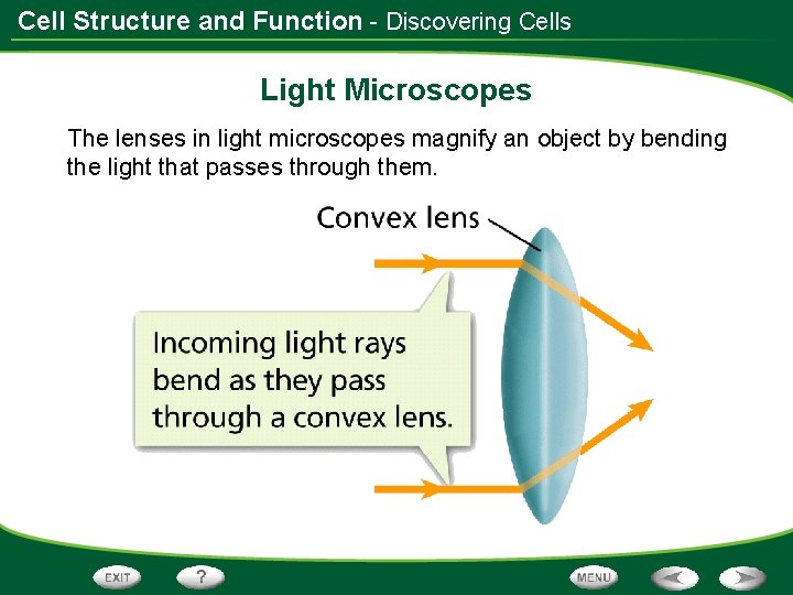 Cell Structure and Function Table of Contents Discovering