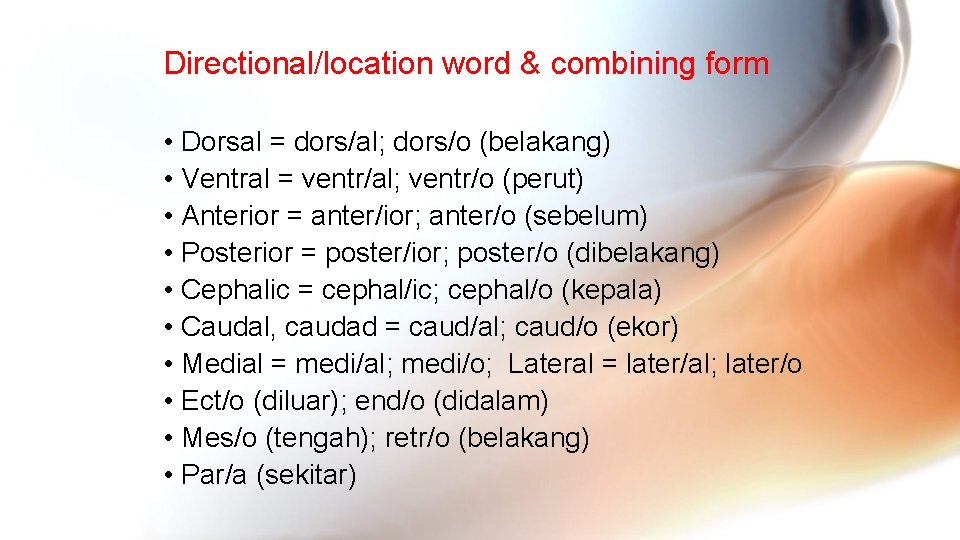 Analisis Terminologi Kedokteran ASRI AHRAM EFENDI BAGIAN ANATOMIILMU