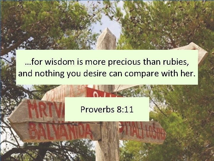 Proverbs Out of Date or Still in Date